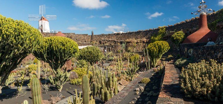 The collection of the Centers once again exceeds three million euros in ...