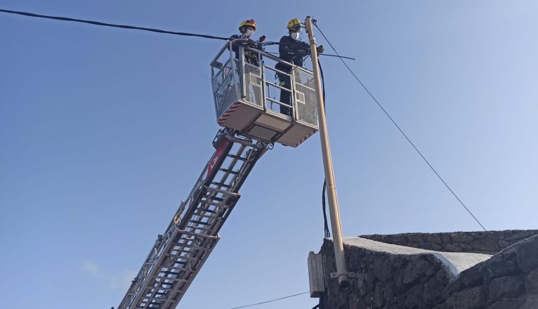 El viento tira una palmera y un cable en Puerto del Carmen