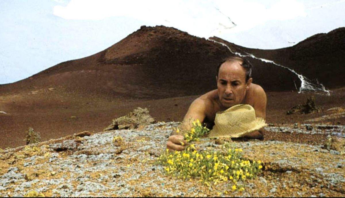 César Manrique, el artista multidisciplinar que abrió el camino al ...