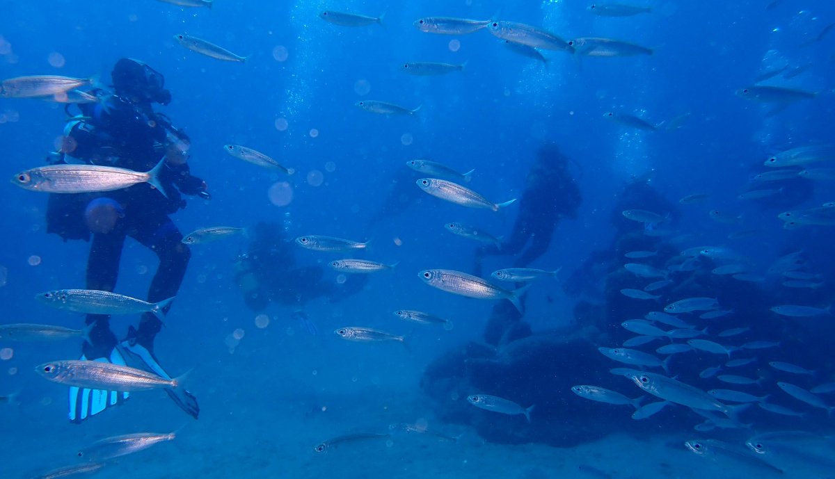 Lanzarote showcases its diving muscle in Paris: only one island in Asia ...