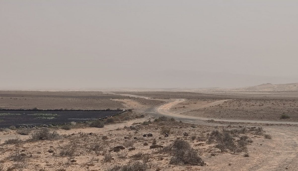 AEMET activates yellow warning for haze during the weekend