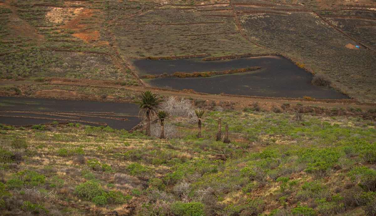 Unusual rains leave 840 liters of precipitation in Lanzarote