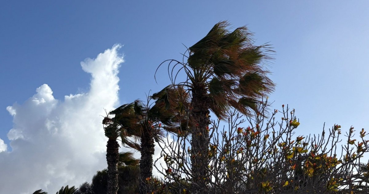 The wind will give a truce to Lanzarote, but will return the weekend ...