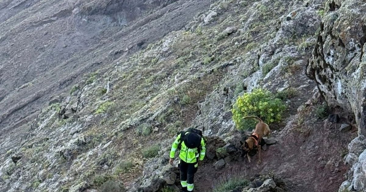 Ends without success the second day of search for Miguel Ángel Gentile